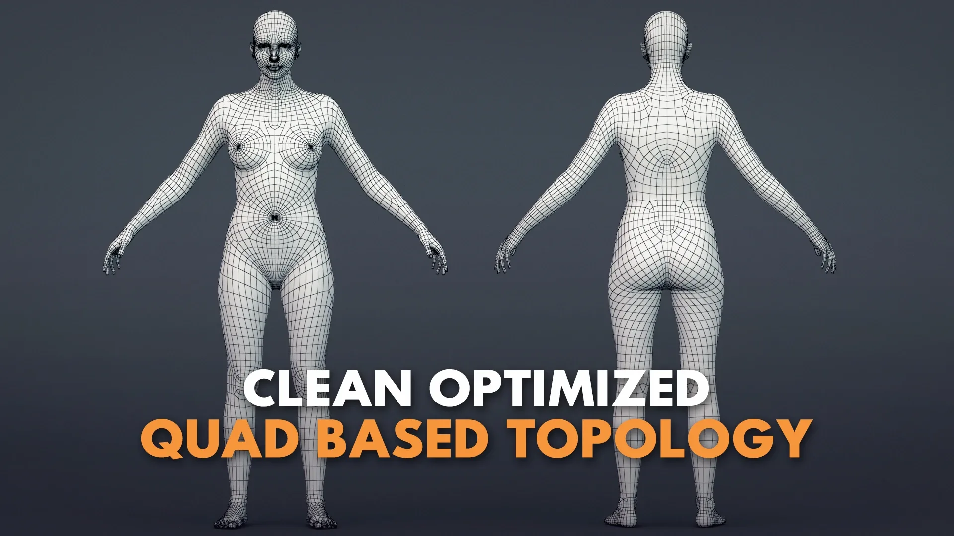 Female Basemesh with Clean Topology - FlippedNormals
