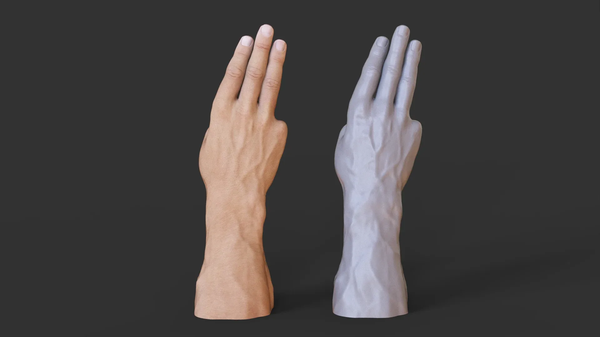 Male Hand Pose - Gesture - 18 - FlippedNormals