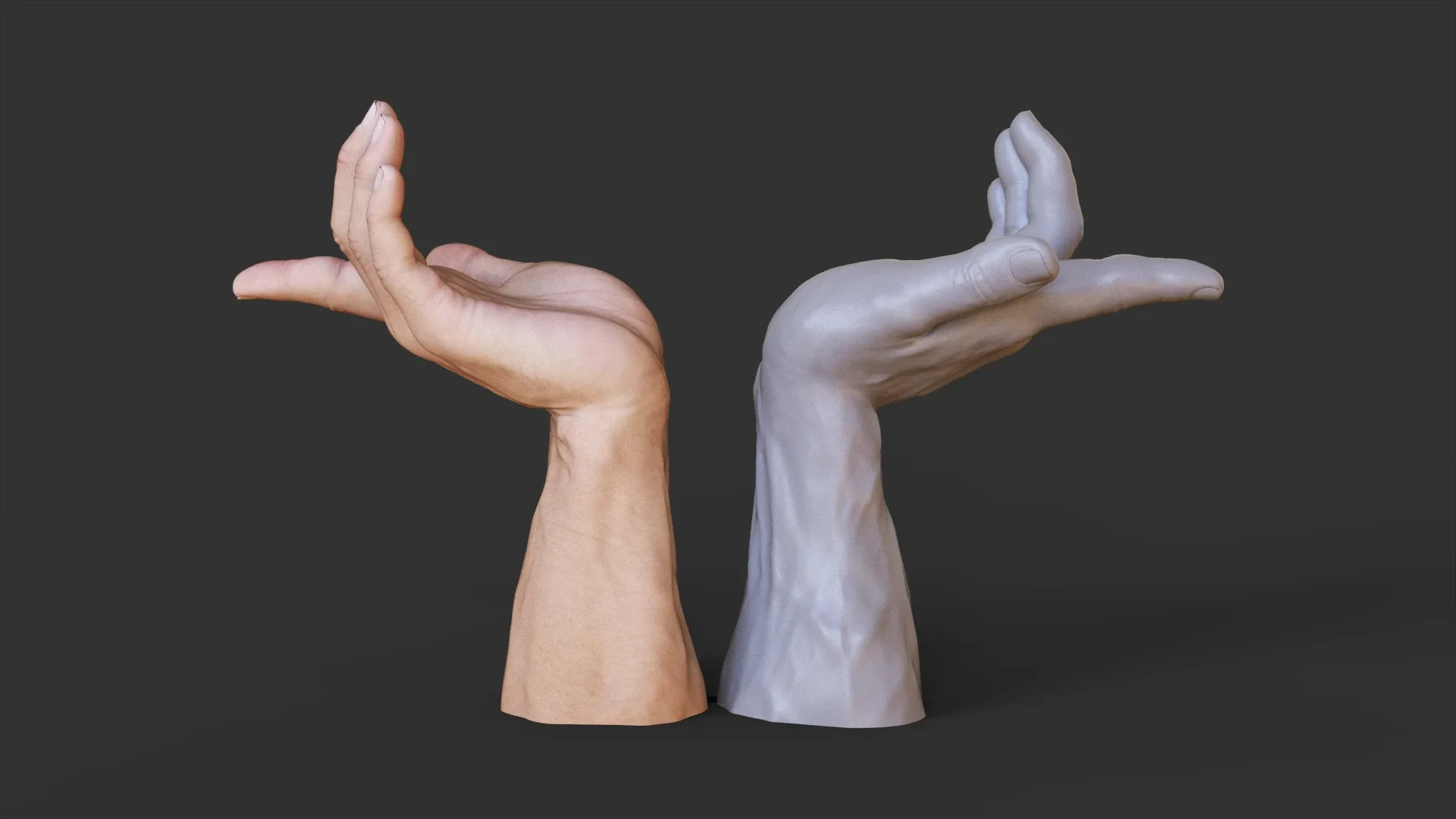 Male Hand Pose - Gesture - 25 - FlippedNormals