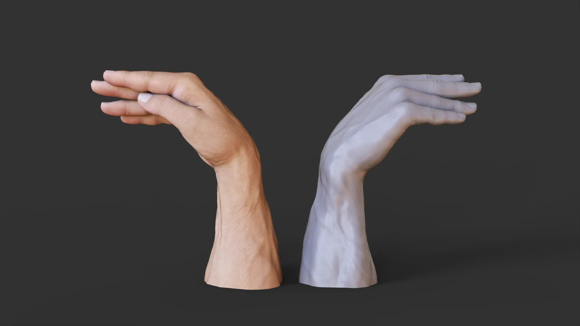Male Hand Pose - Gesture - 28 - FlippedNormals