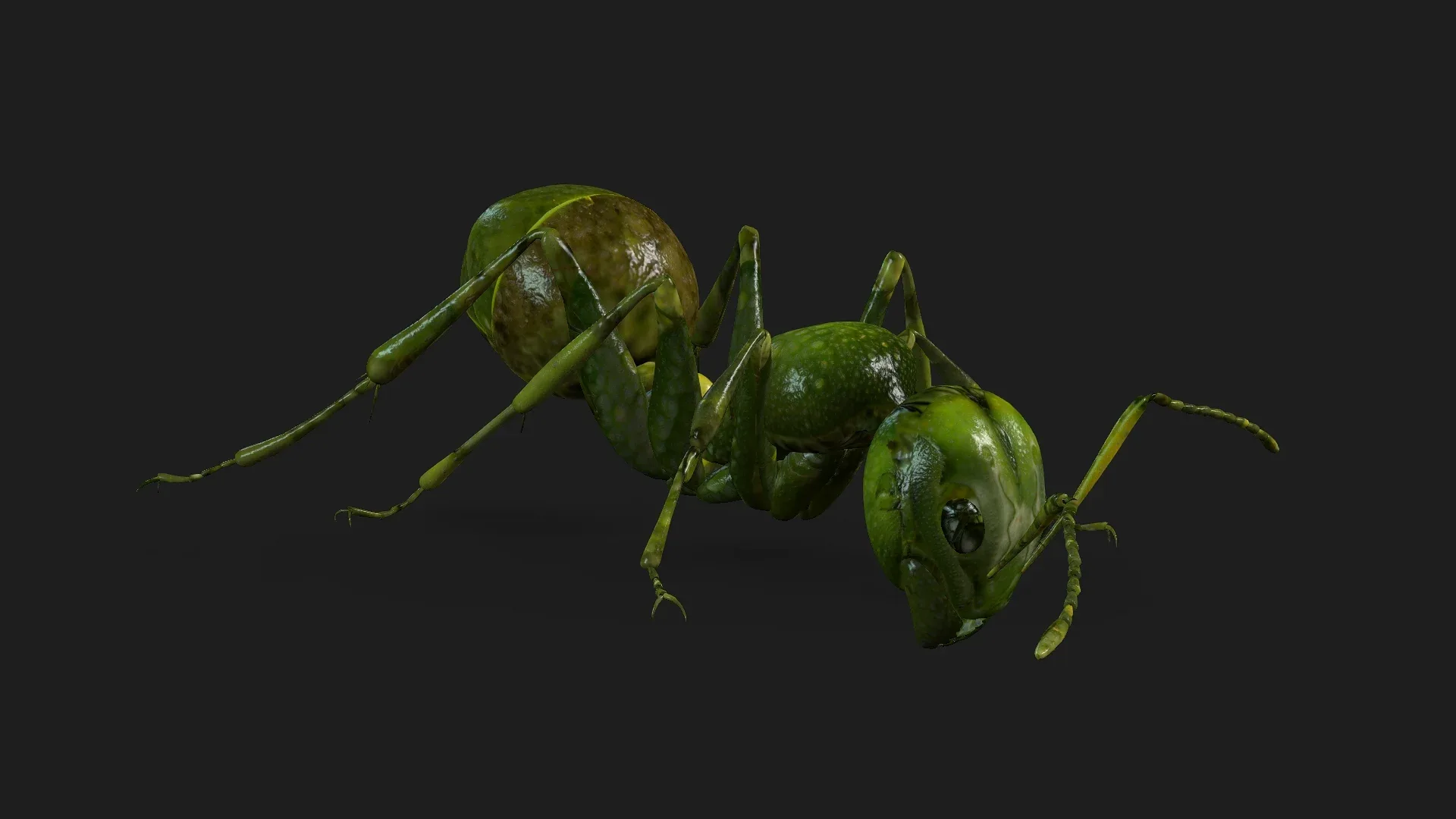 Ant_V1 - FlippedNormals