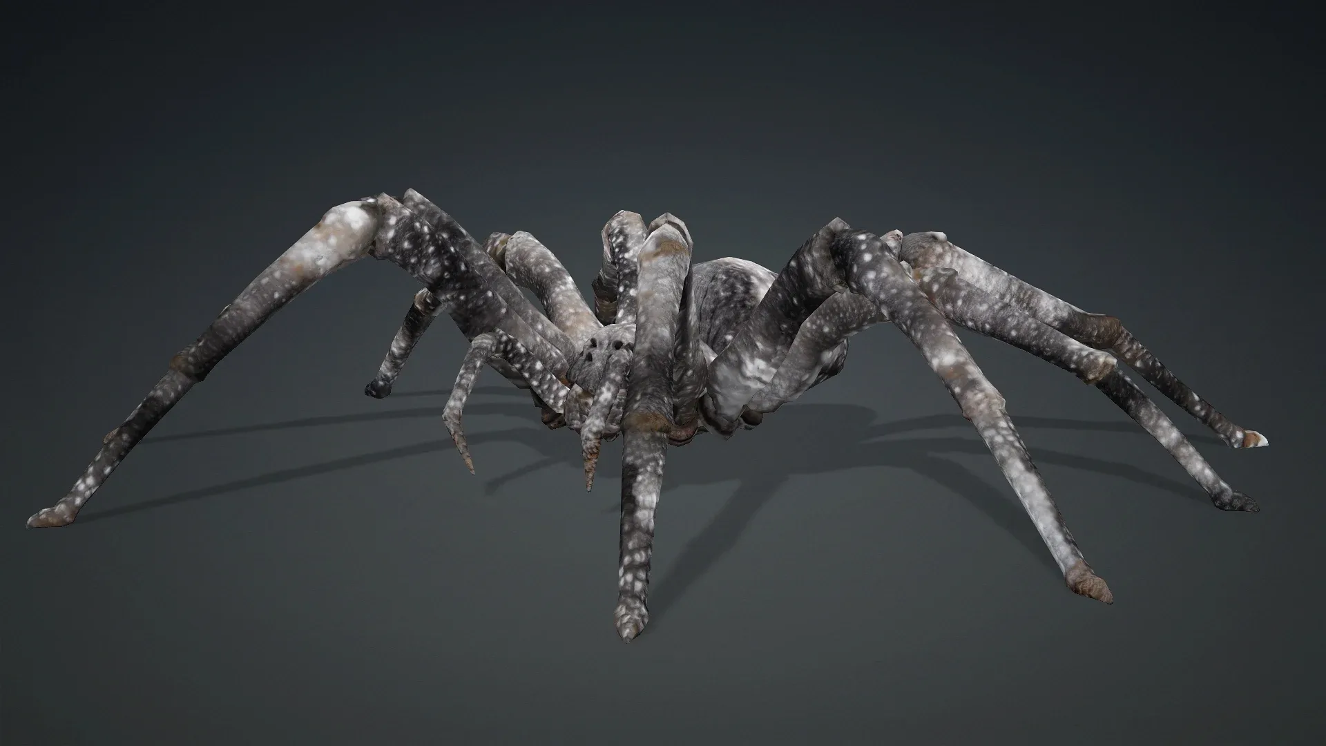 Spider_V2 - FlippedNormals