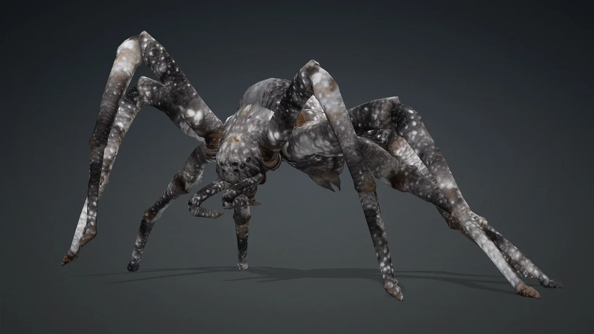 Spider_V2 - FlippedNormals