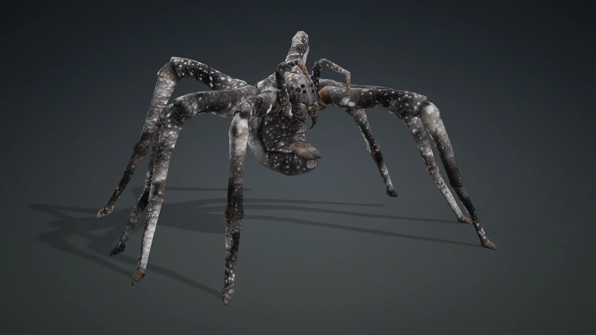 Spider_V2 - FlippedNormals