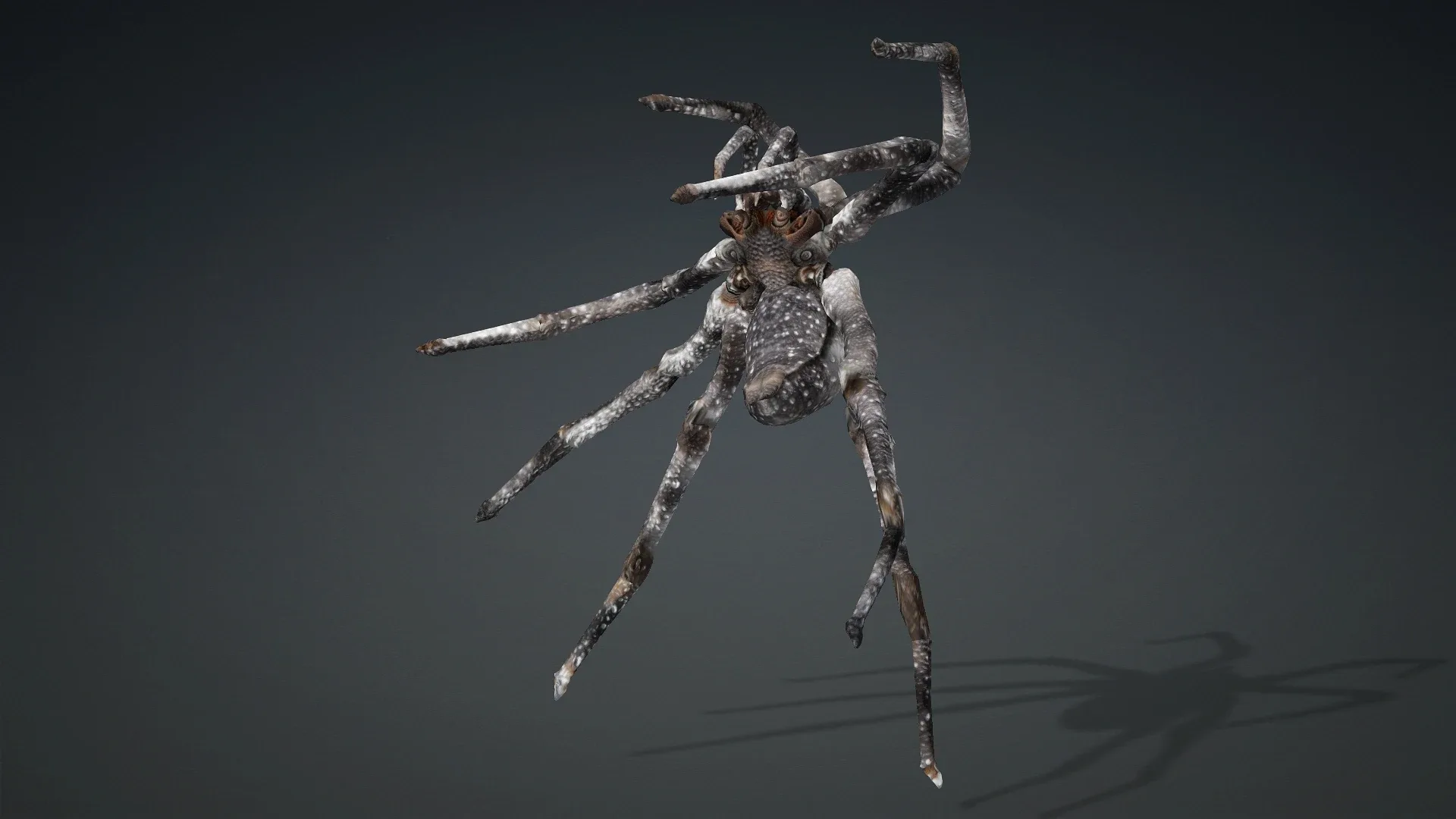 Spider_V2 - FlippedNormals