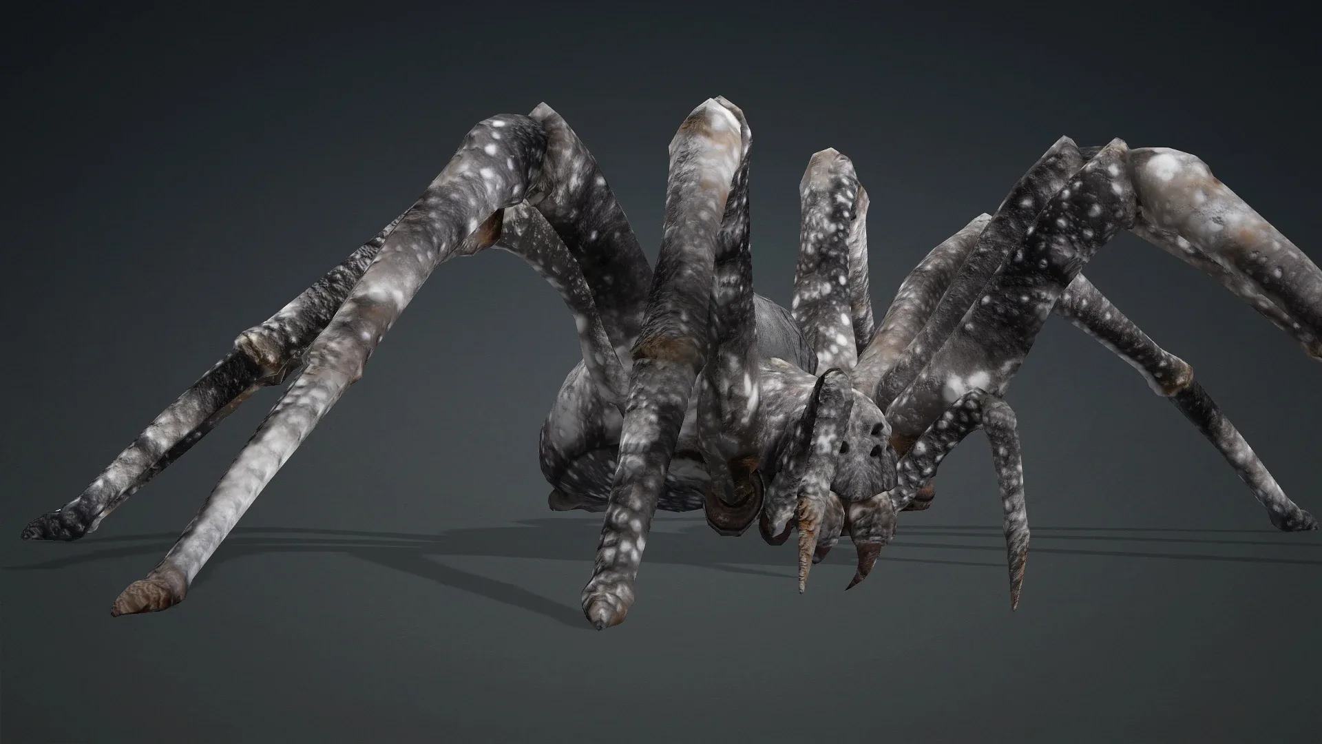 Spider_V2 - FlippedNormals