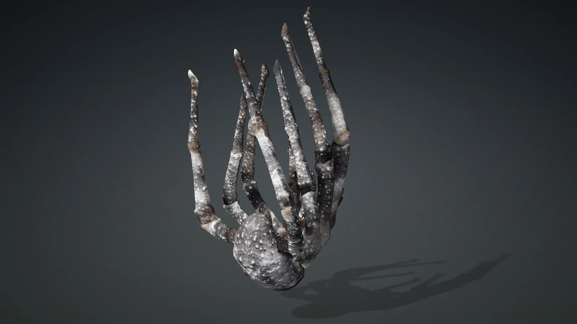 Spider_V2 - FlippedNormals