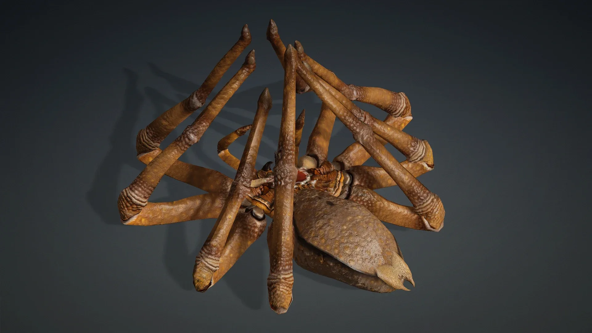 Spider_V3 - FlippedNormals