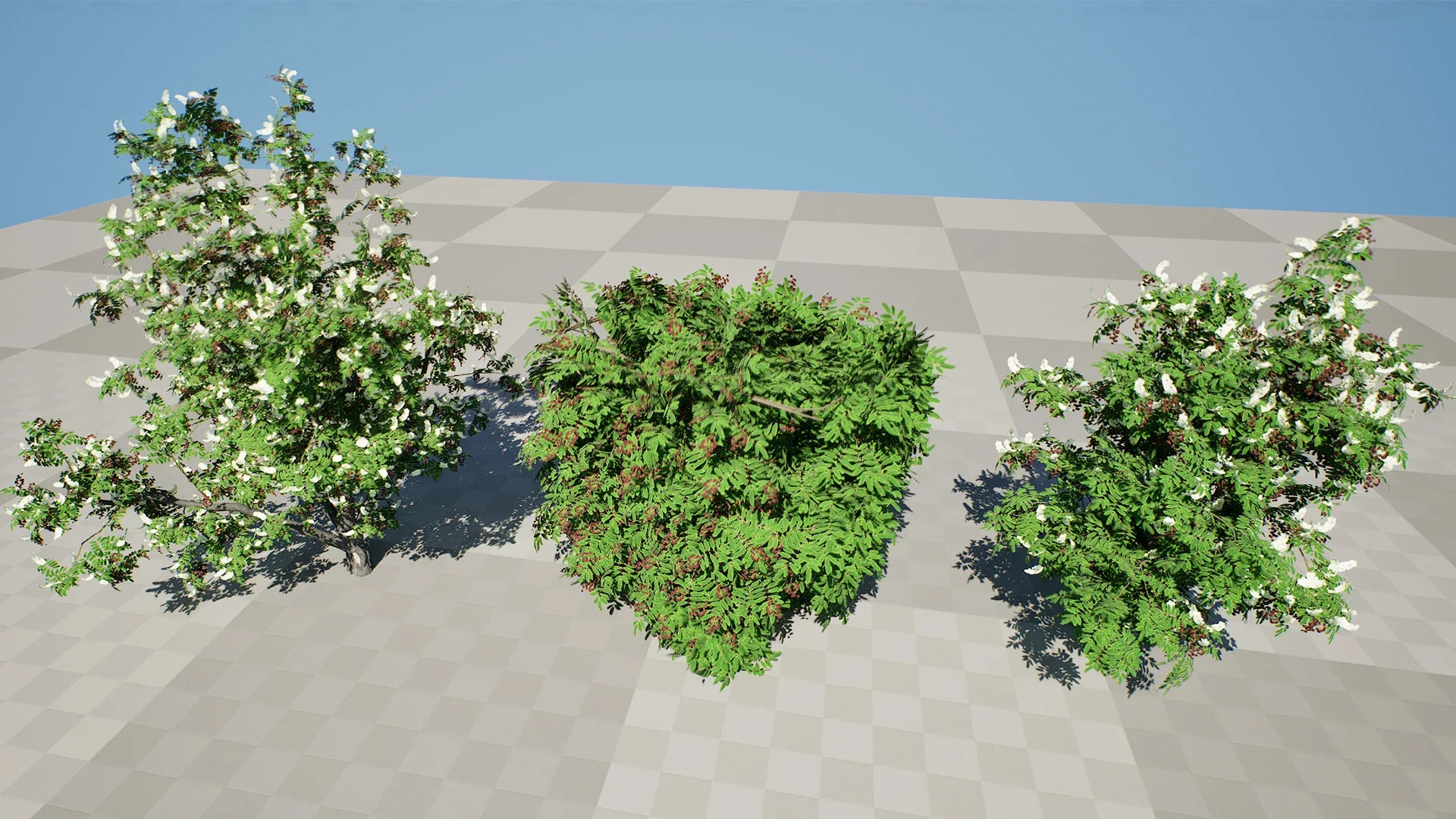Cherry Laurel & Rowan 3D Model - FlippedNormals