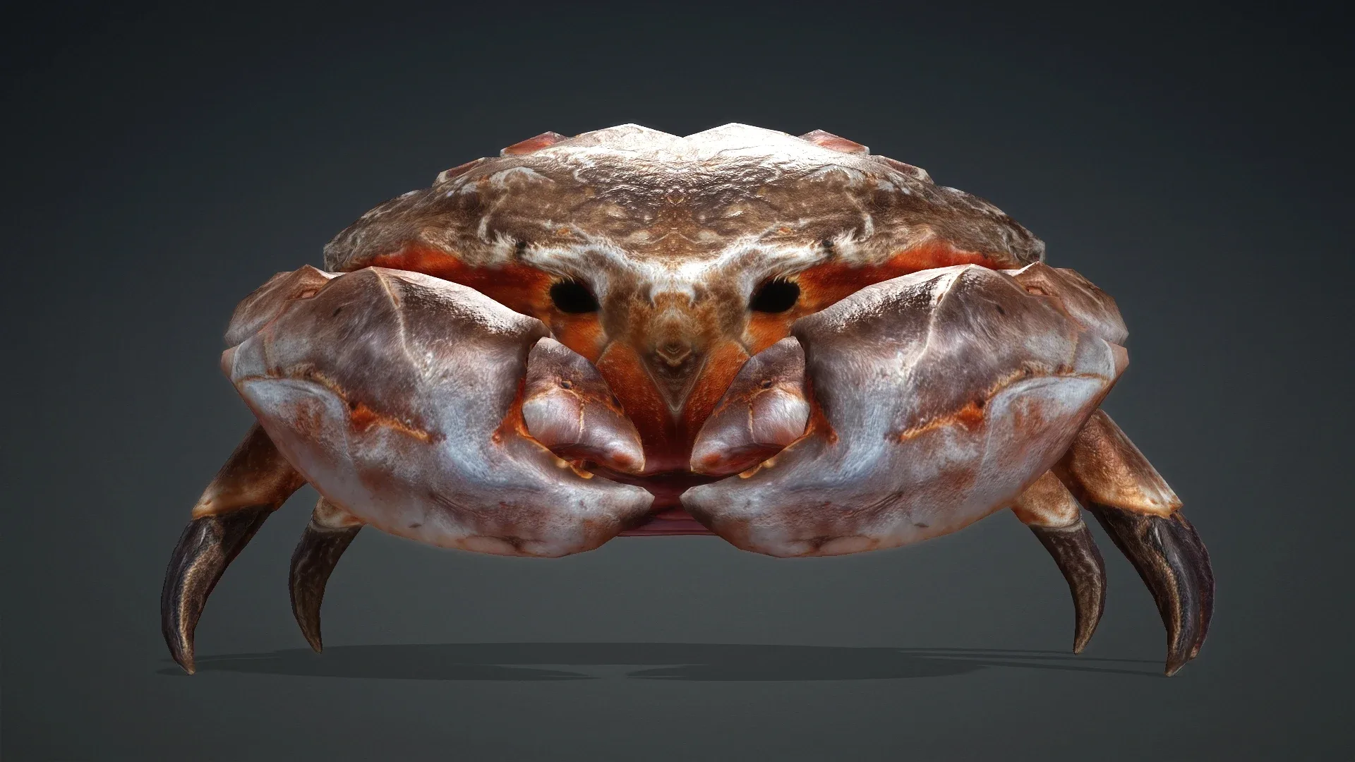 Crab Monster_V1b - FlippedNormals
