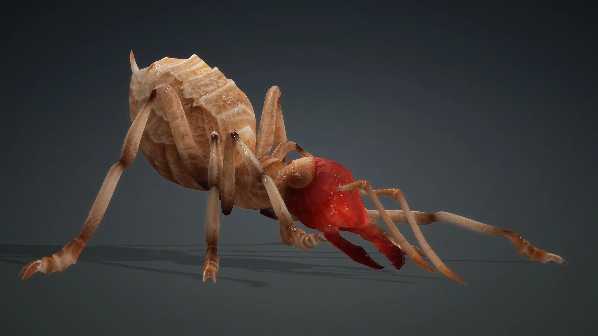 Ant_V3e - FlippedNormals