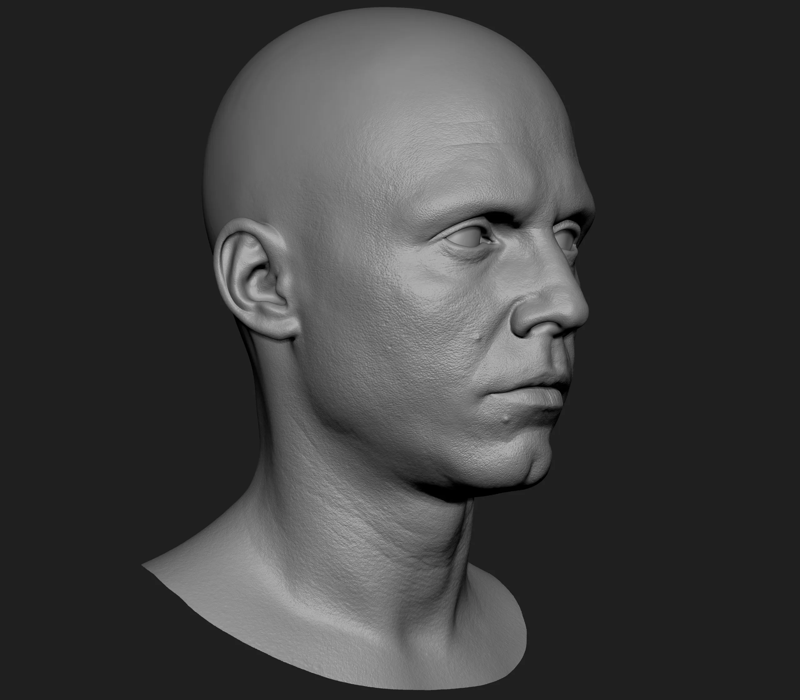 Mark Hamill likeness sculpt 3D - FlippedNormals