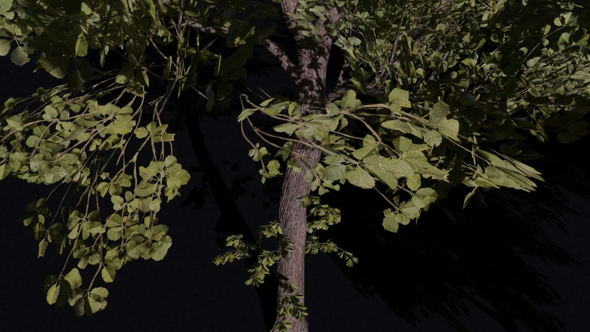 Alder Tree Set - FlippedNormals