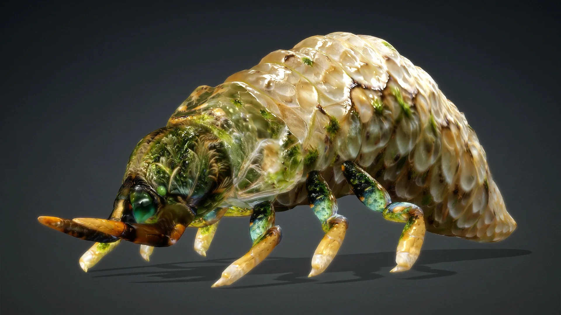 Larval_V1d - FlippedNormals