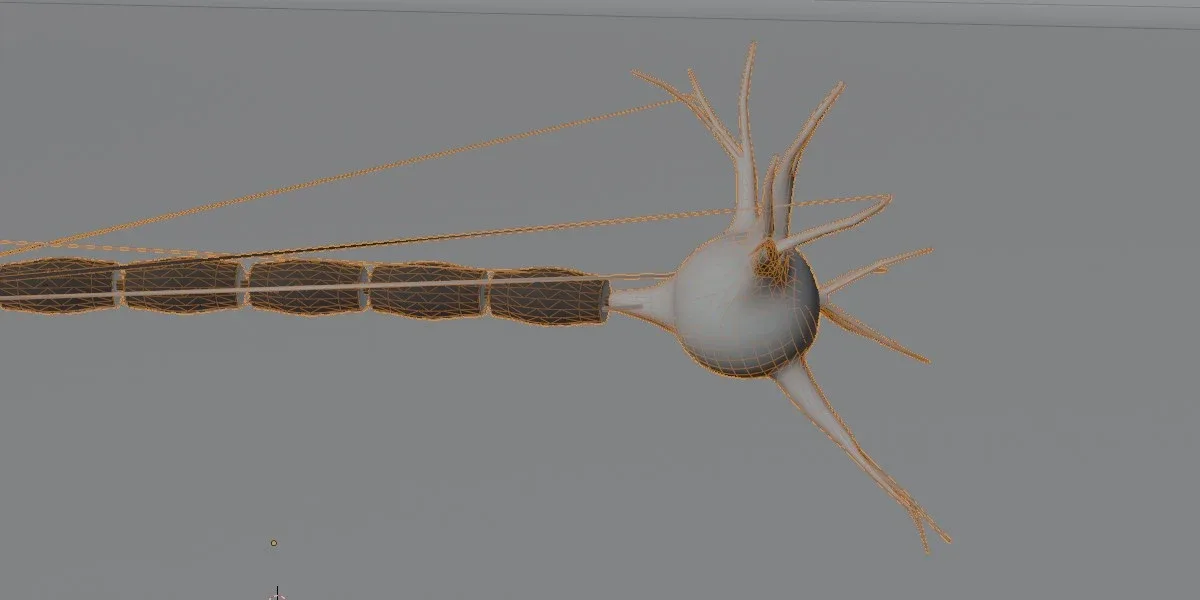Realistic Neuron Cell 3D Model - FlippedNormals