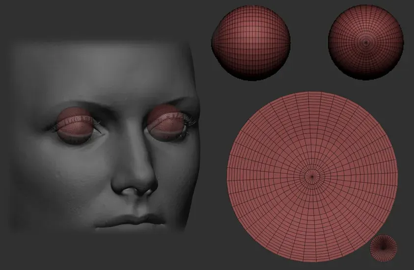 Female Base Mesh Head - FlippedNormals