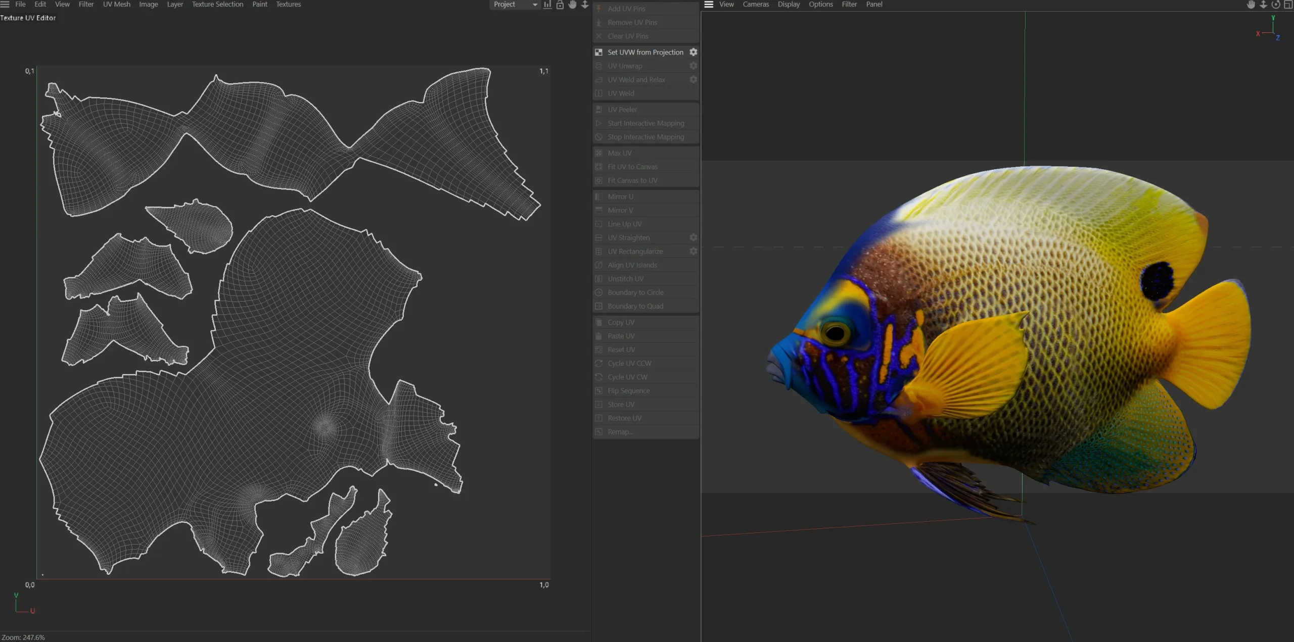 Angelfish BlueFace fish - FlippedNormals