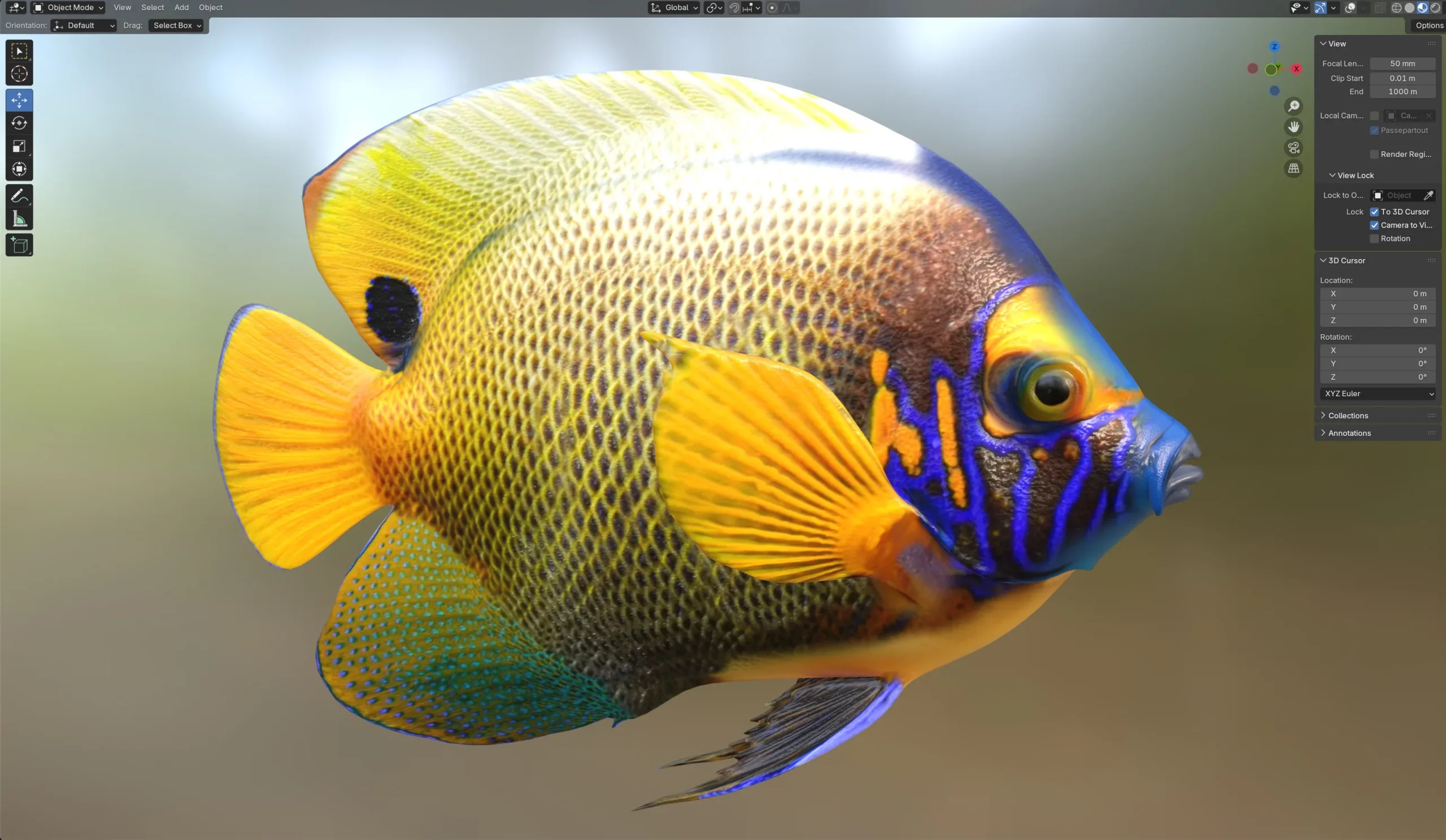 Angelfish BlueFace fish - FlippedNormals