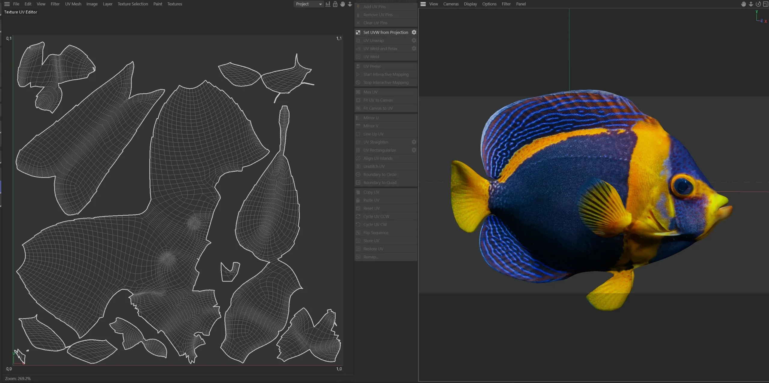 Angelfish Scribbled - FlippedNormals