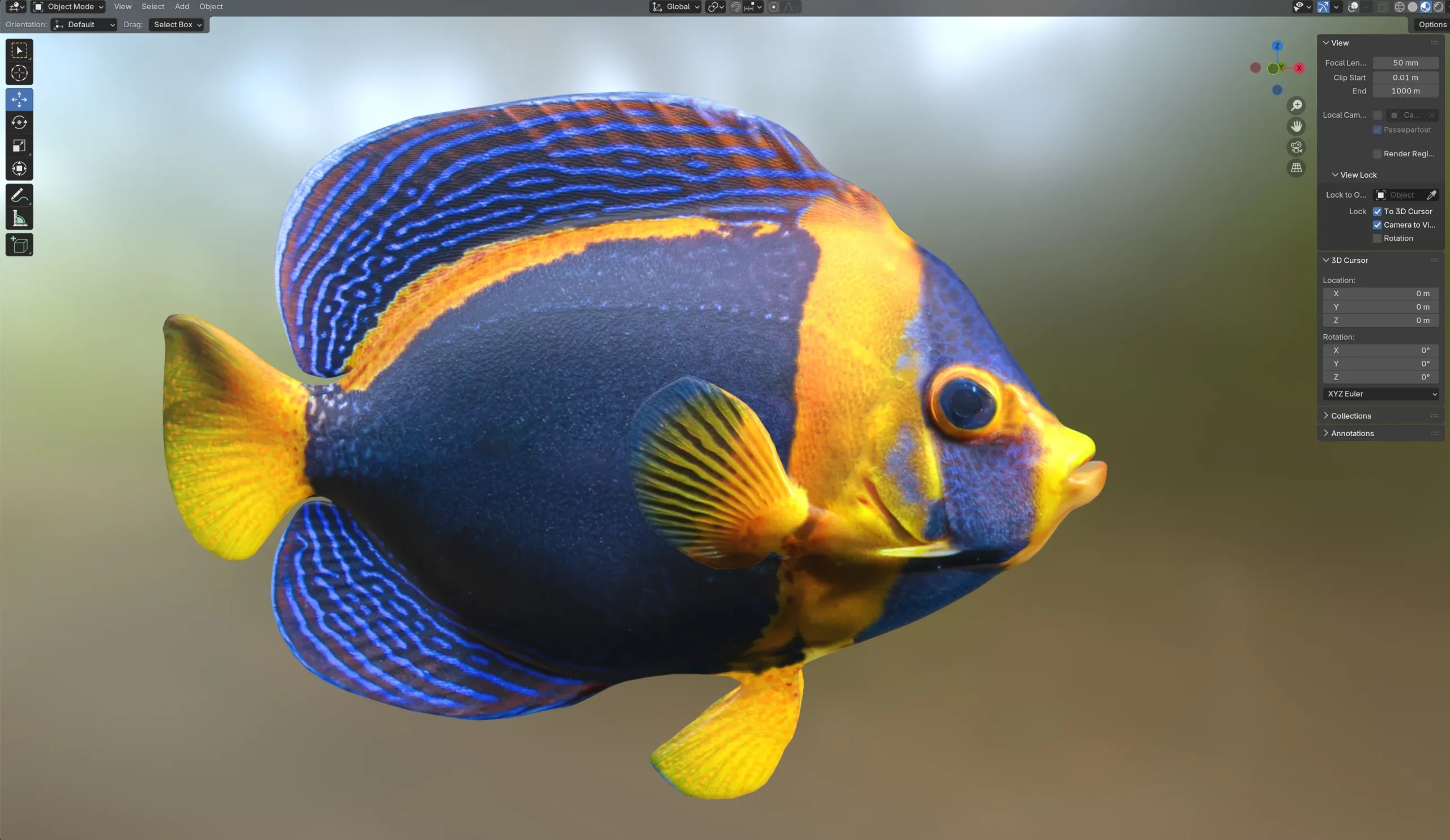 Angelfish Scribbled - FlippedNormals