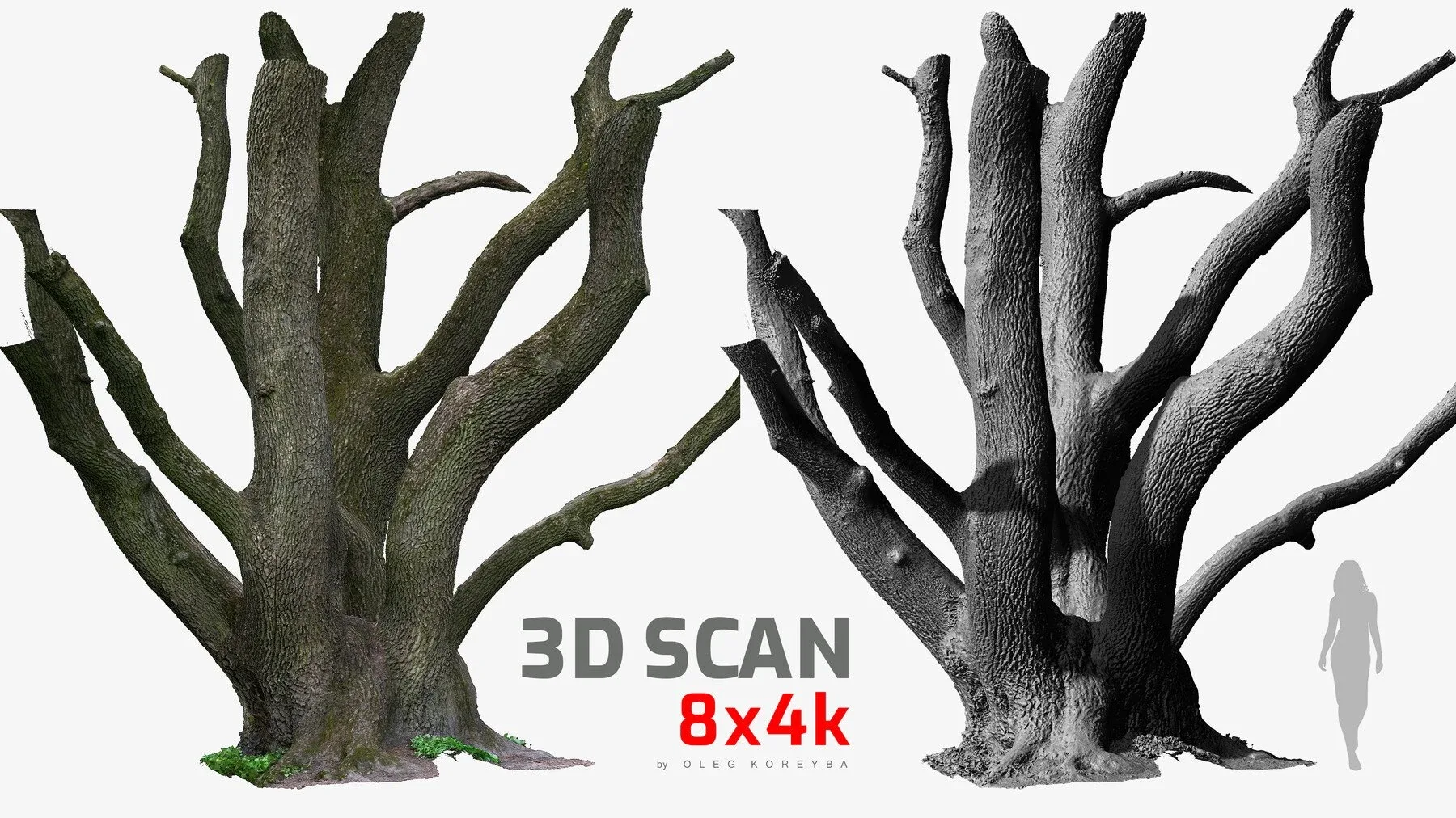 Massive Multi-stem Oak Tree 3D - FlippedNormals