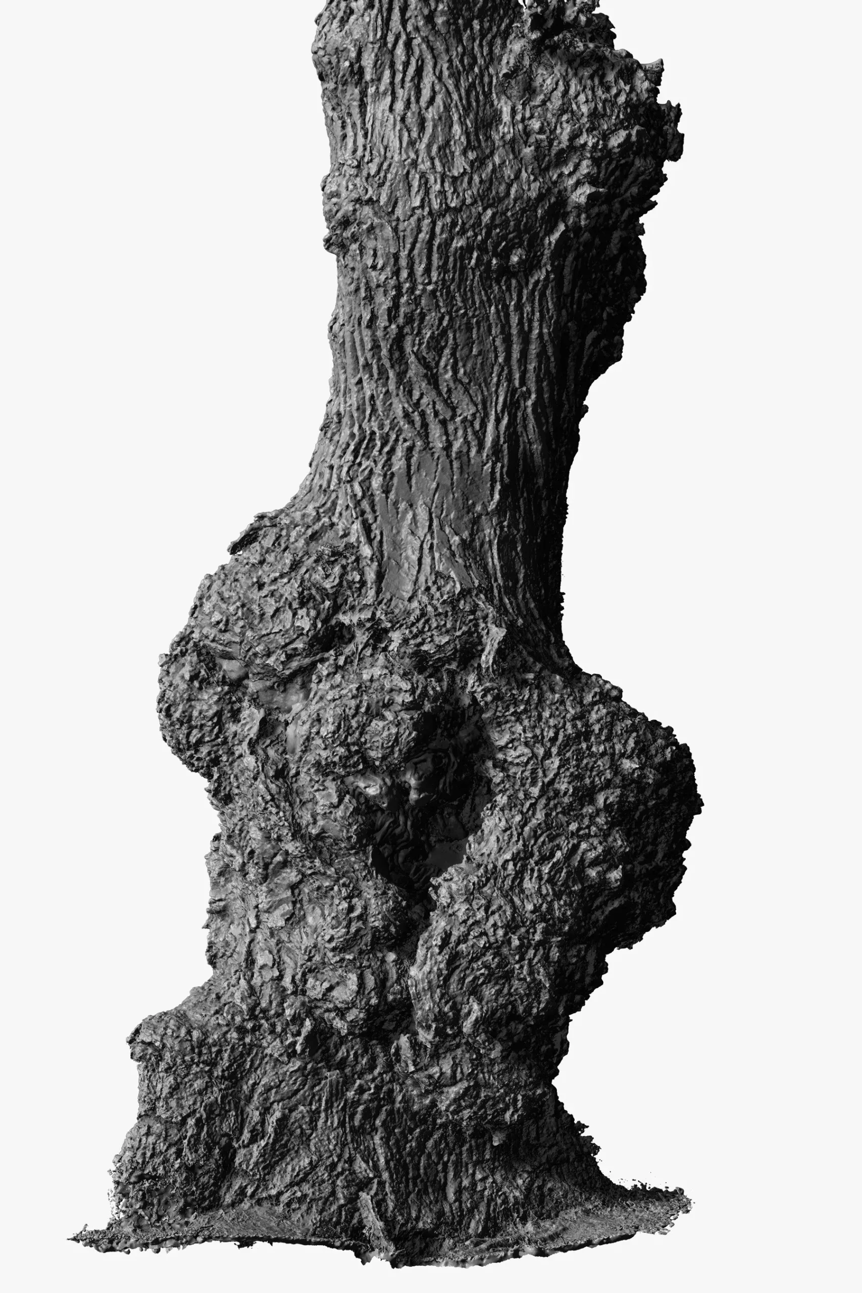 Ancient OAK Tree Trunk RAW 3D Scan - FlippedNormals