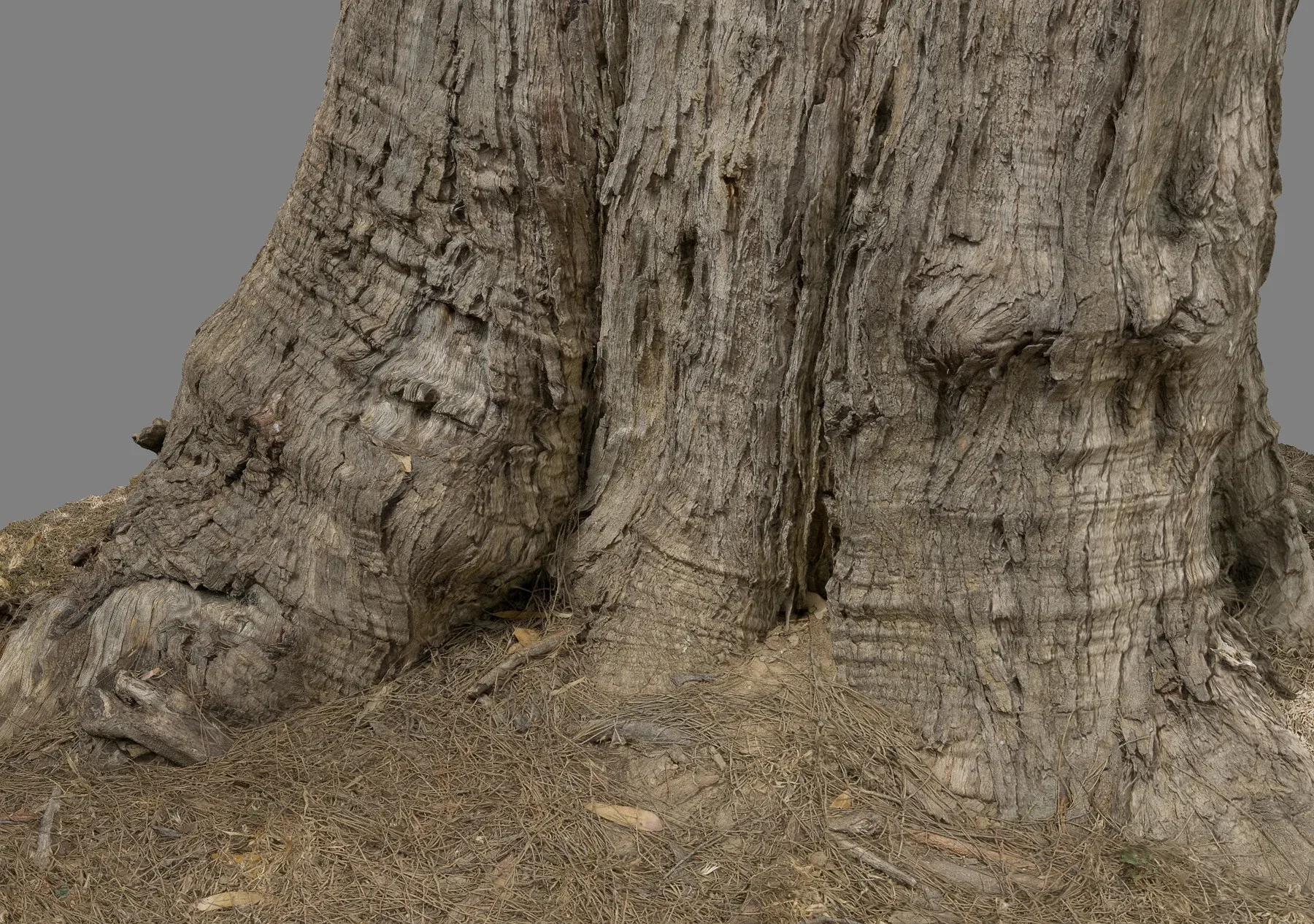 Tamarisk Tree 3D Model 10x4k \ - FlippedNormals