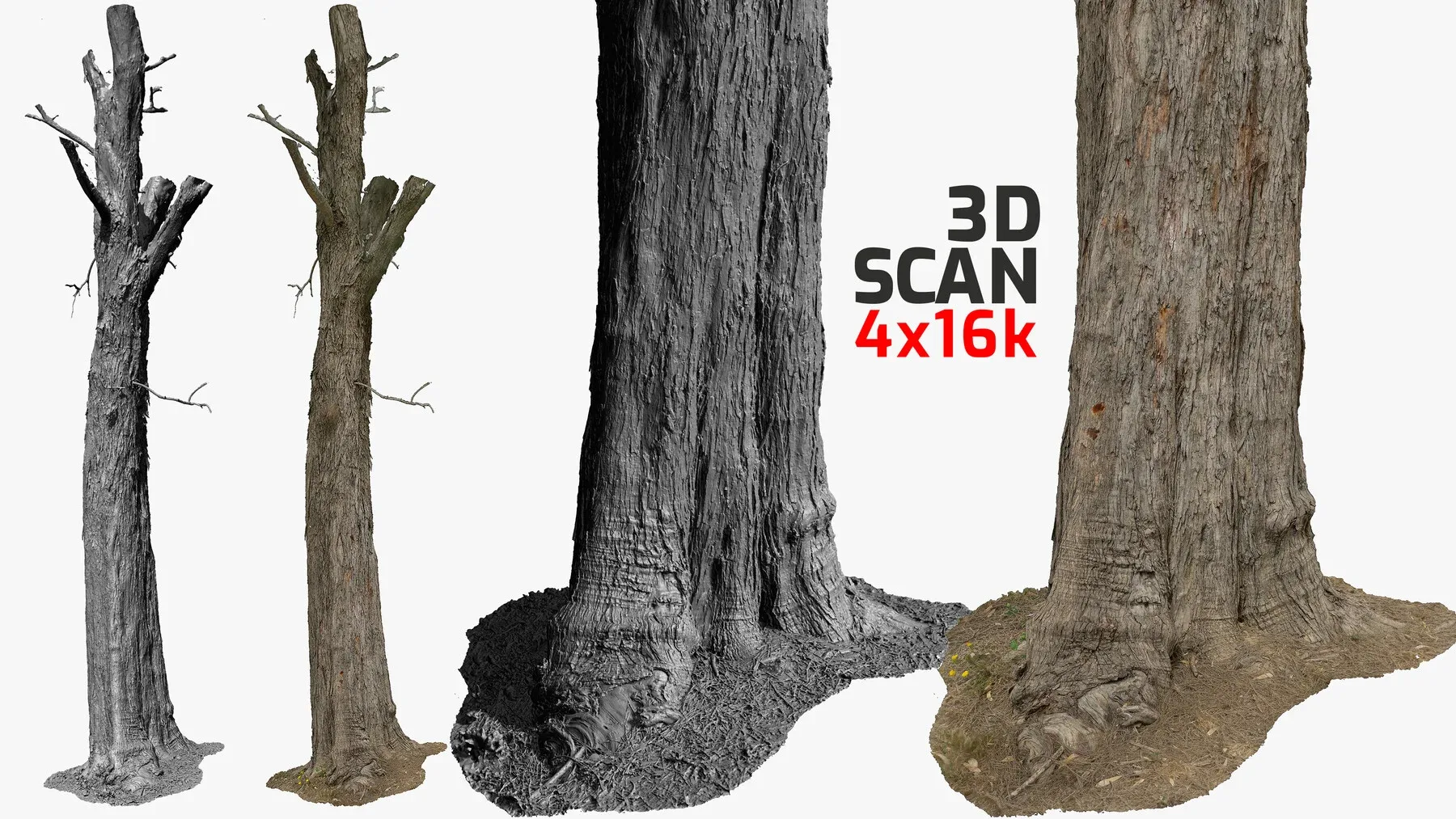 Tamarisk Tree 3D Model 10x4k \ - FlippedNormals
