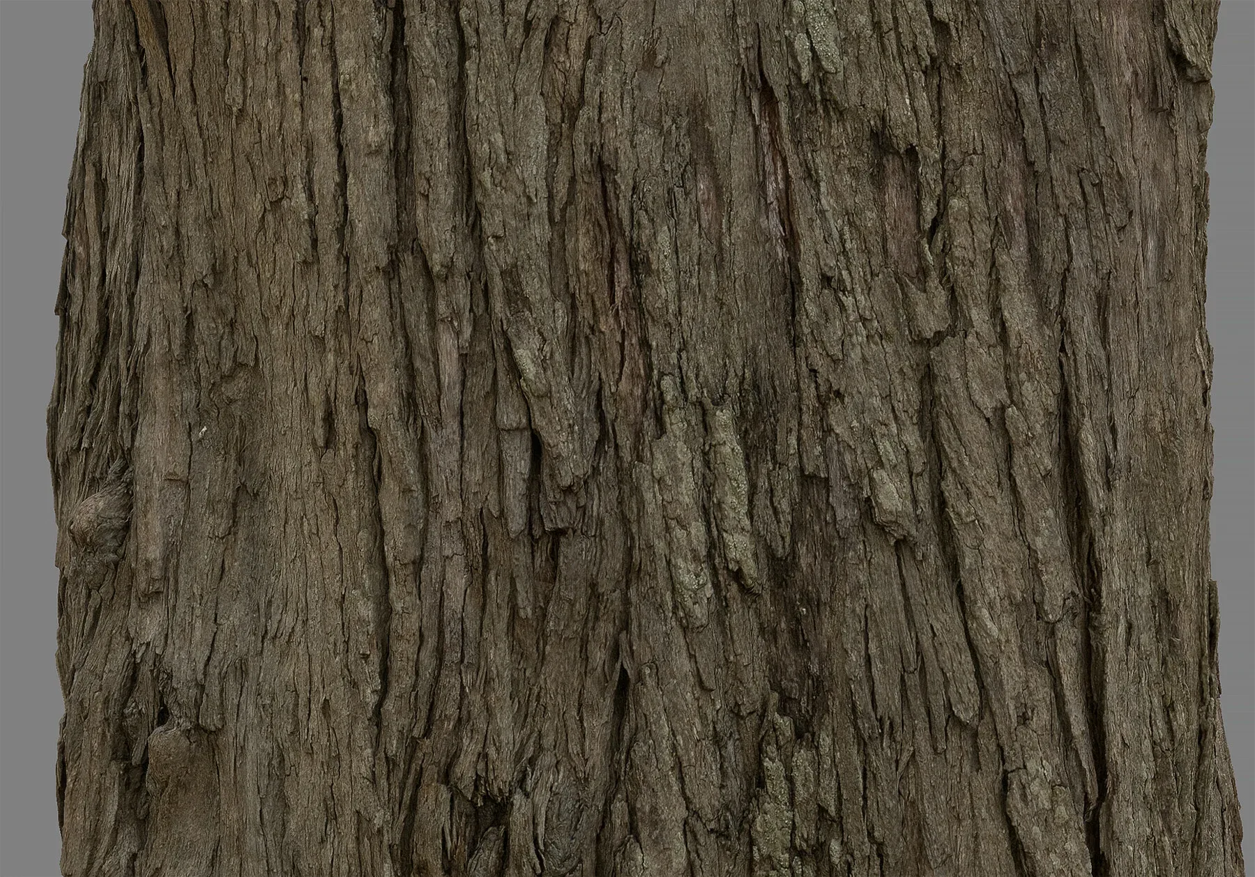 Tamarisk Tree 3D Model 10x4k \ - FlippedNormals