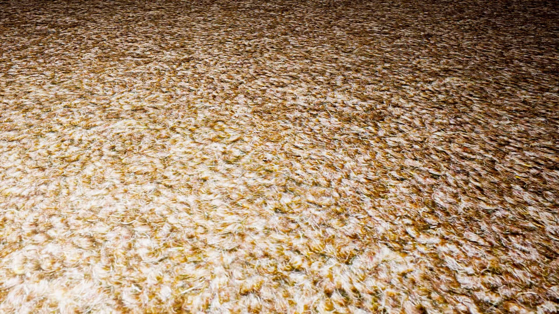 ArchViz: Photorealistic Carpets - FlippedNormals