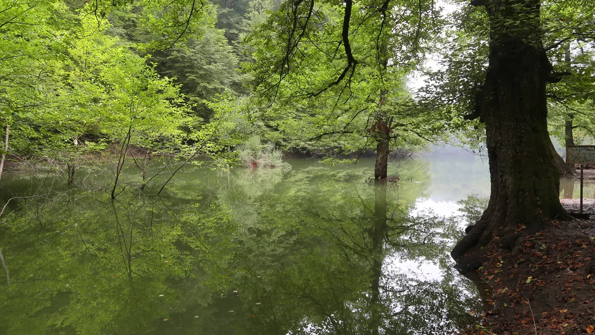 Lake & Forest References - 107 - FlippedNormals