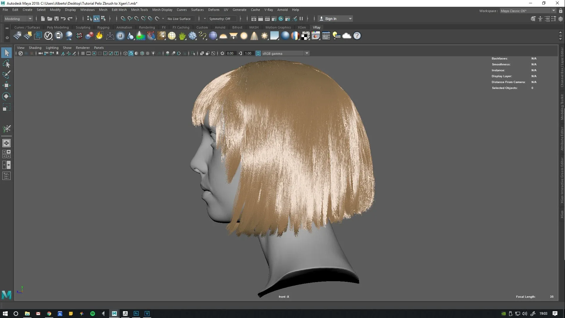 Hair Fibermesh to XGen Workflow - FlippedNormals