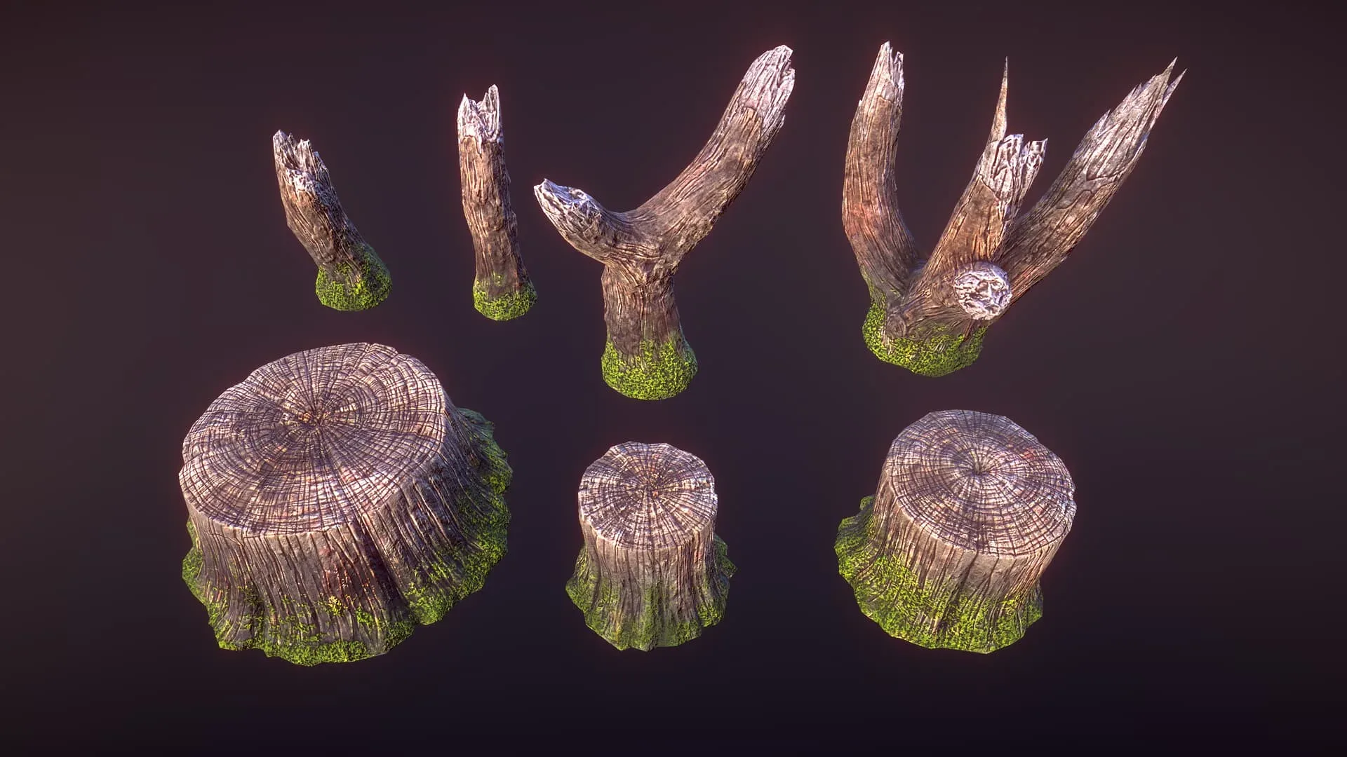 Tree Stumps - Game Ready Asset - FlippedNormals