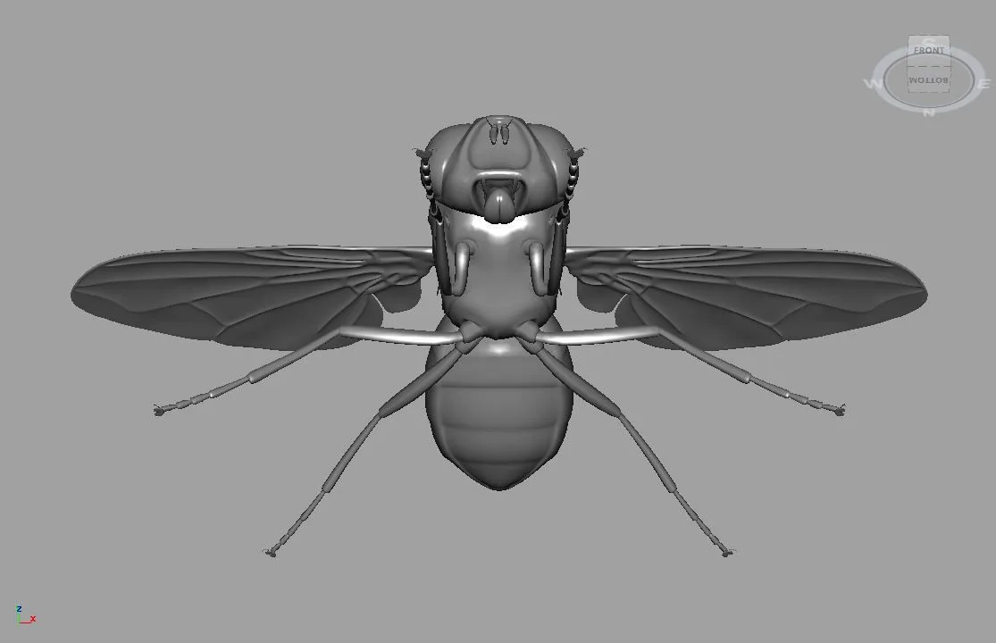 Fly Rig - FlippedNormals