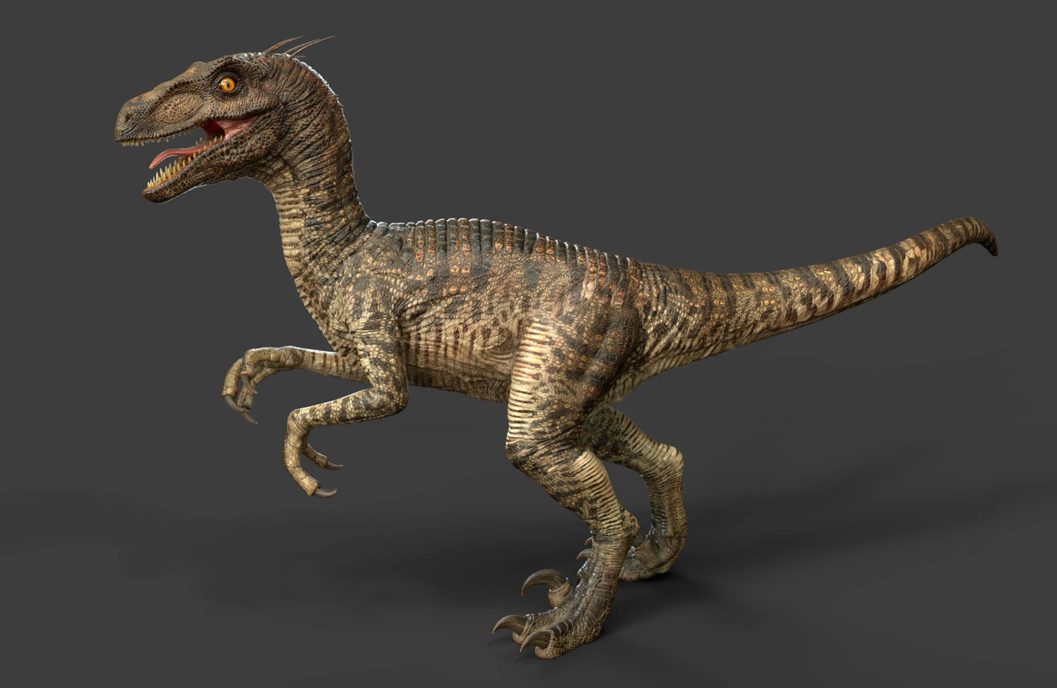 Raptor - 2 Models & Textures - FlippedNormals