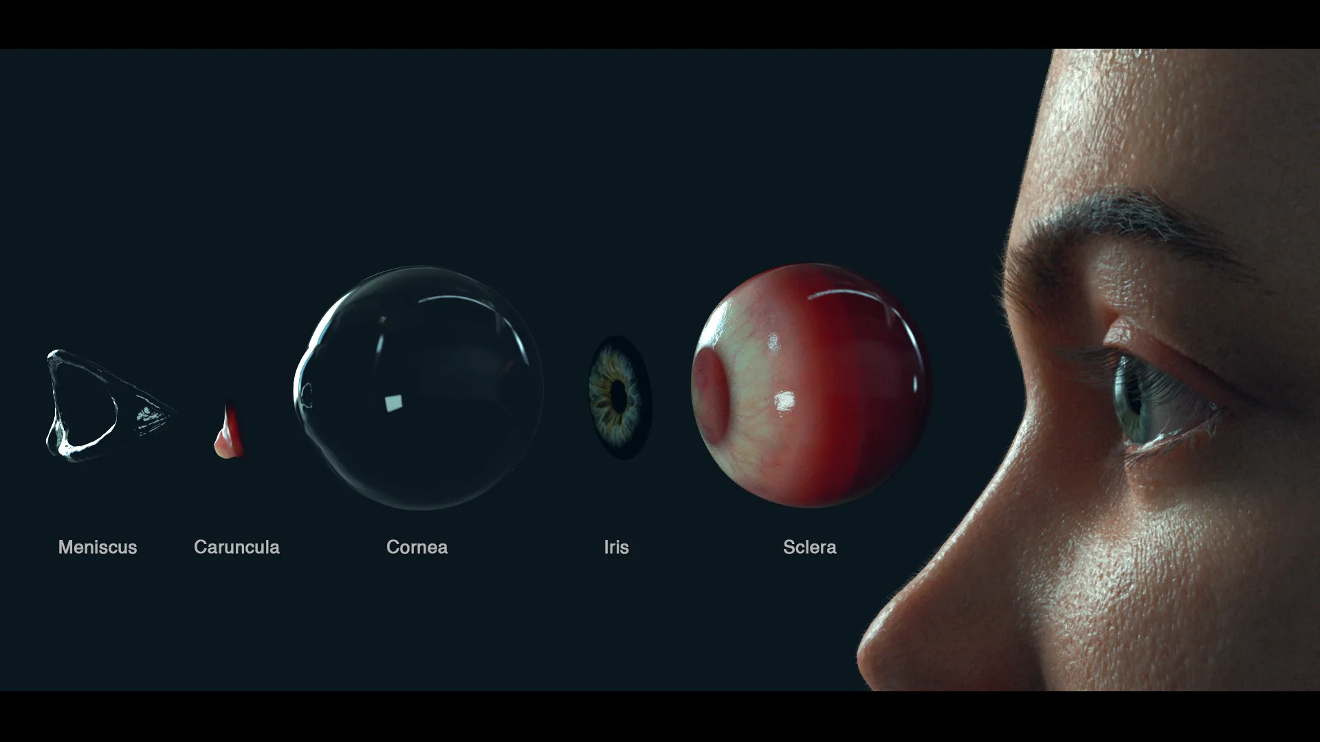 Photorealistic Eye Package + Rig - FlippedNormals