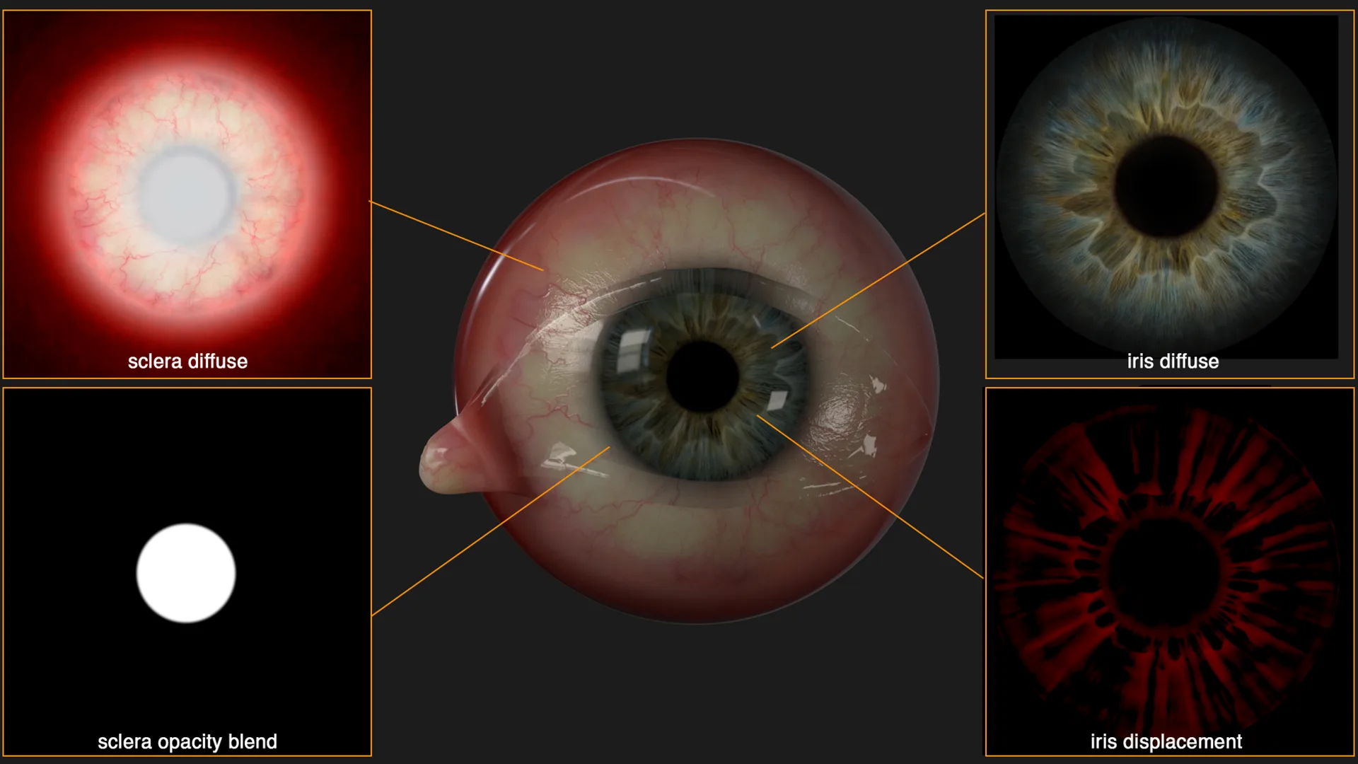 Photorealistic Eye Package + Rig - FlippedNormals