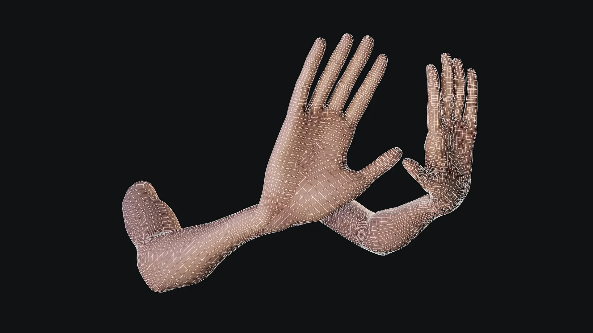 Female Hands - Animated - FlippedNormals