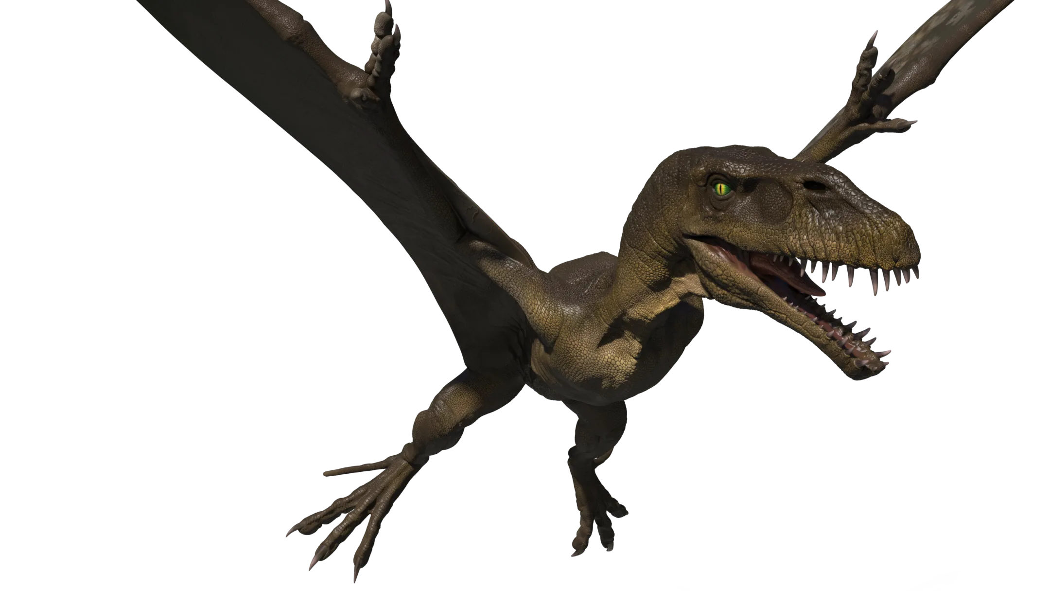 Dimorphodon ZBrush Tool - FlippedNormals