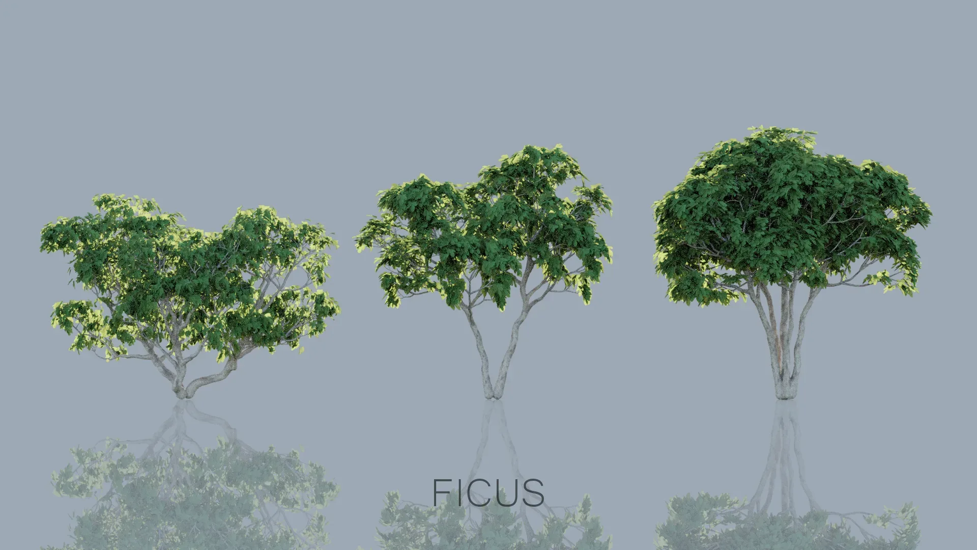 30+ Trees Pack - FlippedNormals