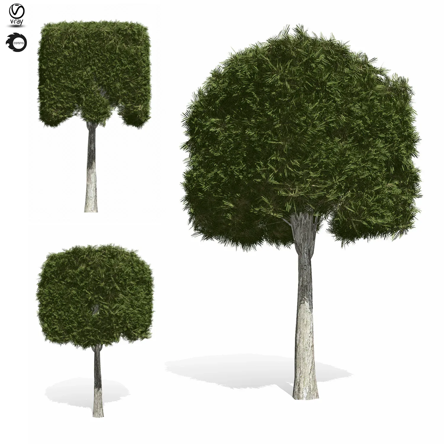 Topiary Tree 5s - FlippedNormals