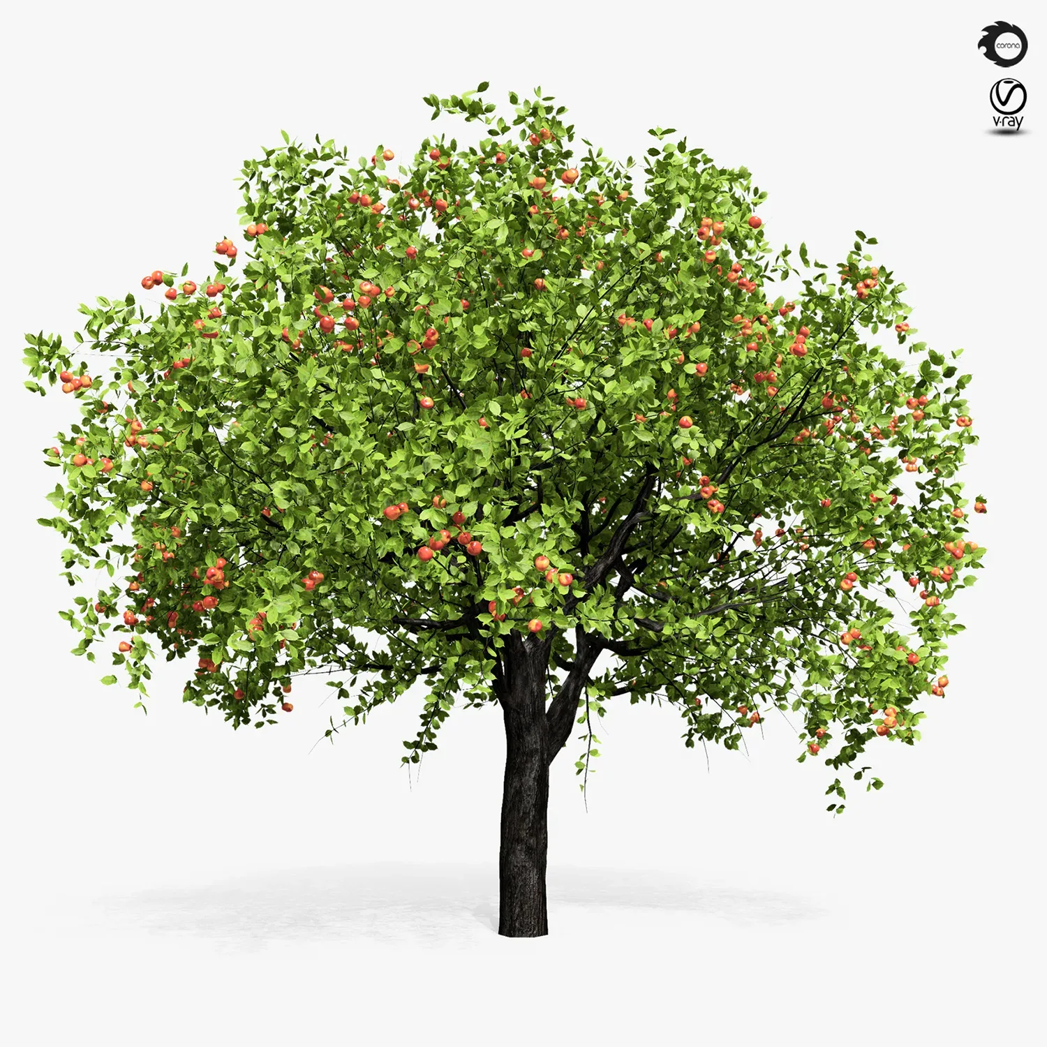 Apple Tree 6s - FlippedNormals