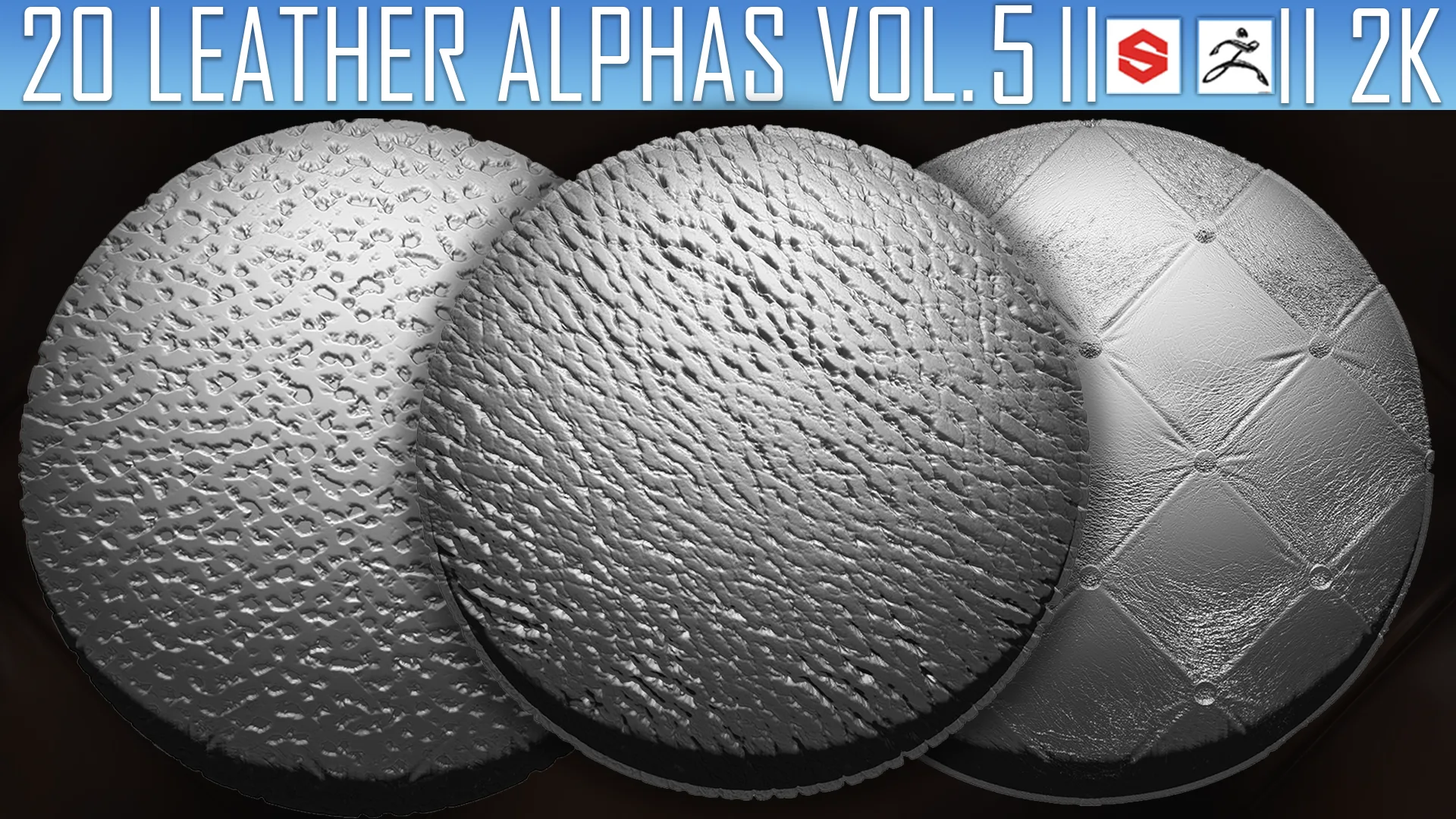 20 Leather Alphas Vol.5 (ZBrush - FlippedNormals