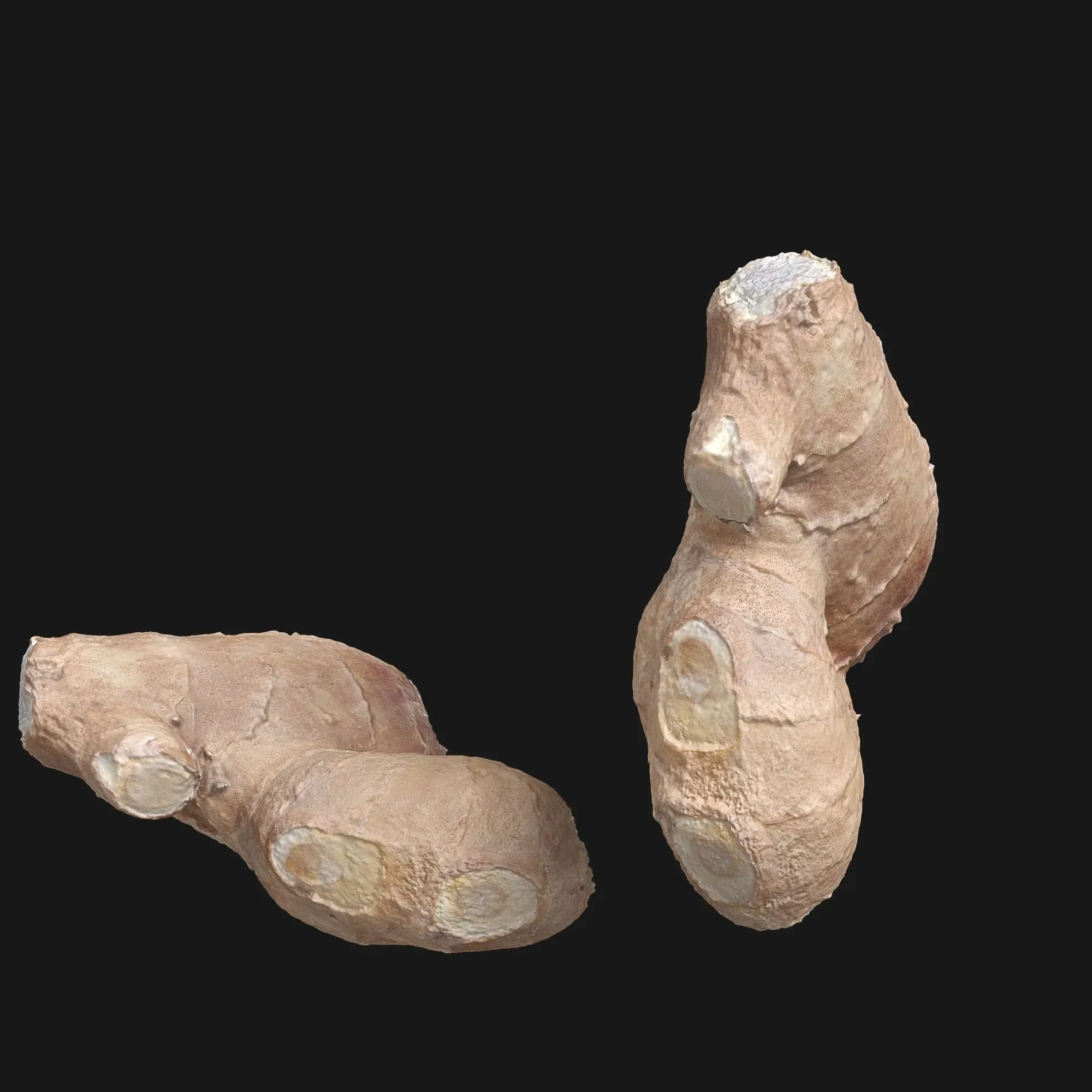 Ginger Photorealistic 3D Model - FlippedNormals