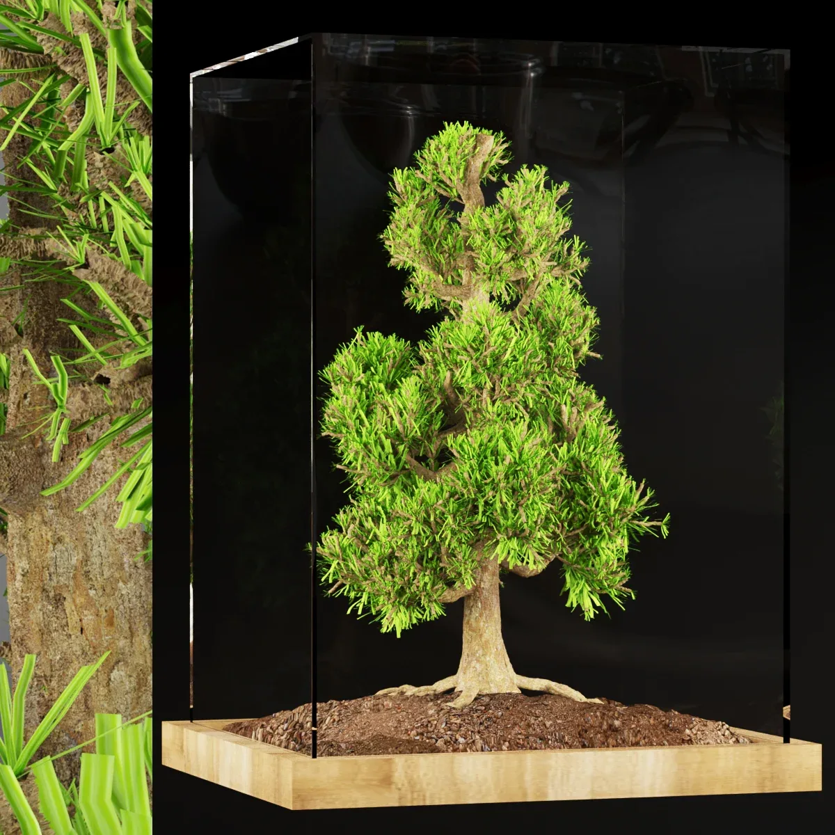 Plant Glass Box - FlippedNormals