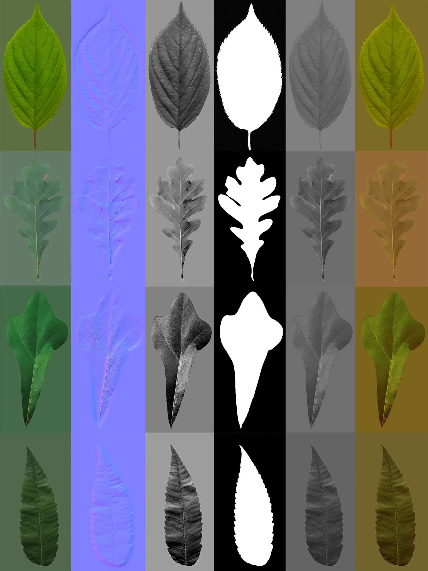 16 High Quality Leaves - FlippedNormals