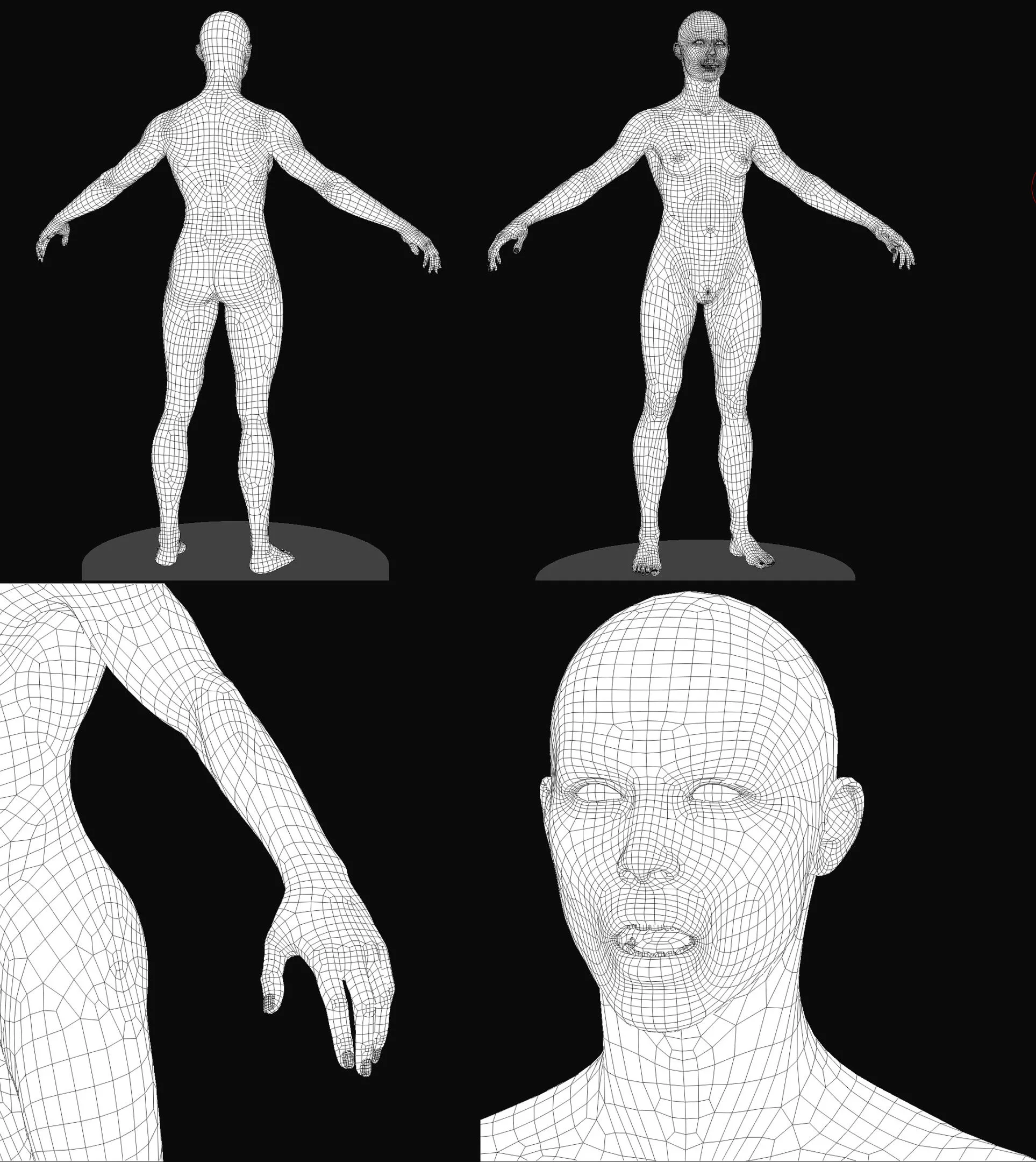 Human Zbuilder v3 - FlippedNormals