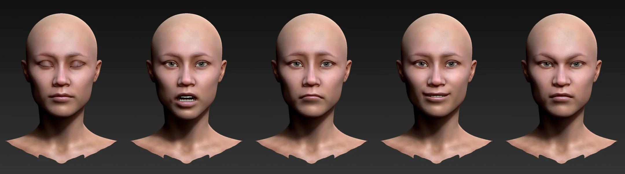 Human Zbuilder - Head - FlippedNormals