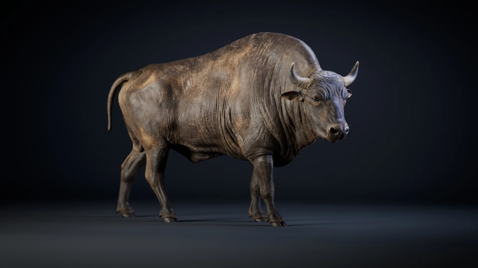 Bison Asset - Digital Model & Textures - FlippedNormals