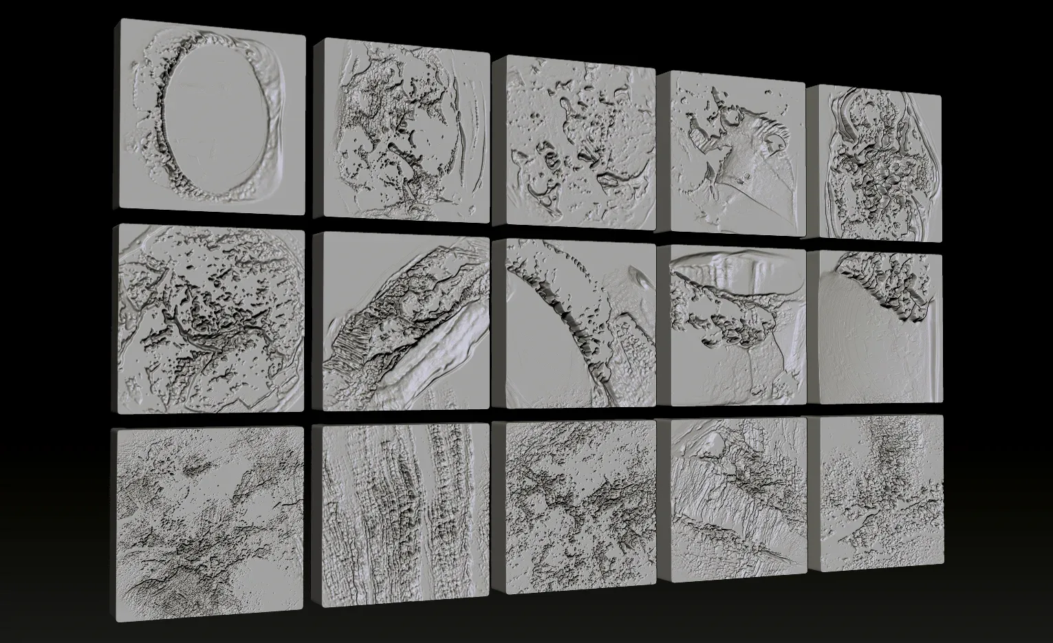 30 Organic Alphas For Avant-Garde - FlippedNormals